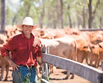 Profile: Beef farms go organic