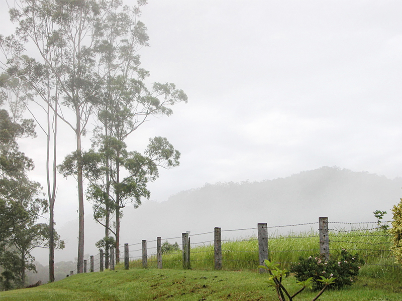 Northern Australia likely to get early rain