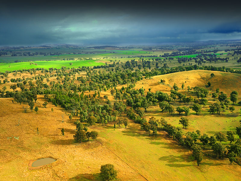 Climate: Warm spring for north and southeast Aus
