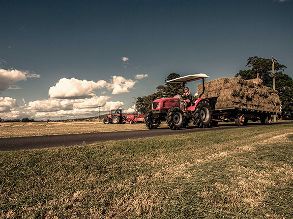 Product Focus: Case in lucerne country