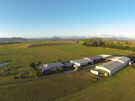 Product Focus: Case in lucerne country