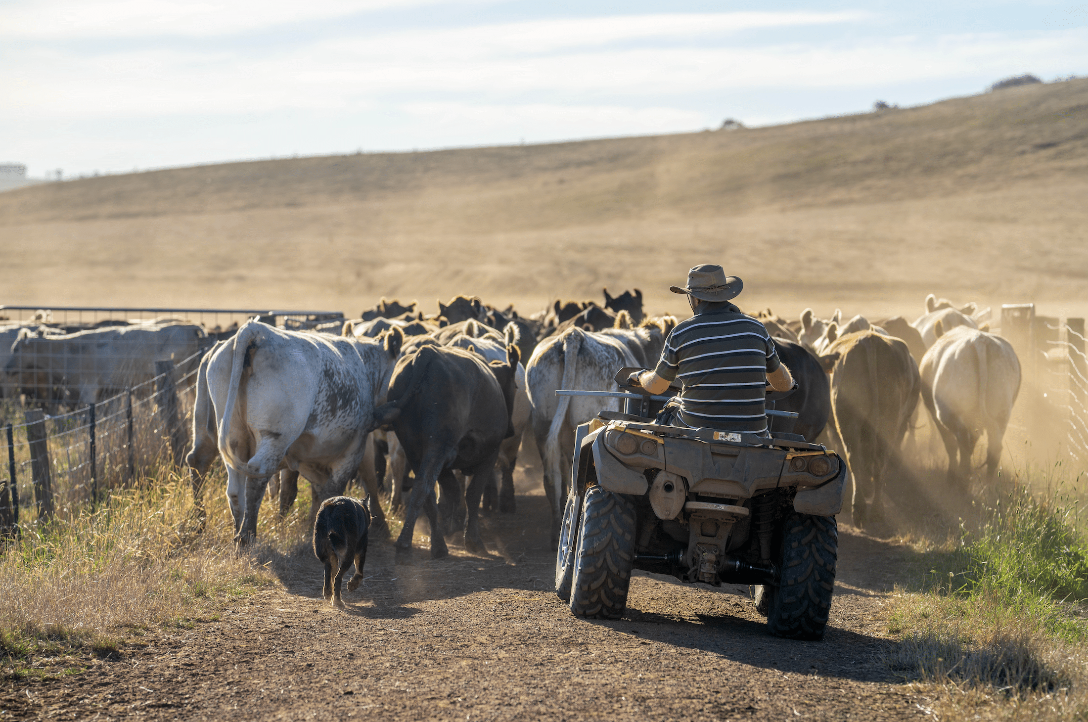 CSIRO roadmap charts for a sustainable future - Trade Farm Machinery