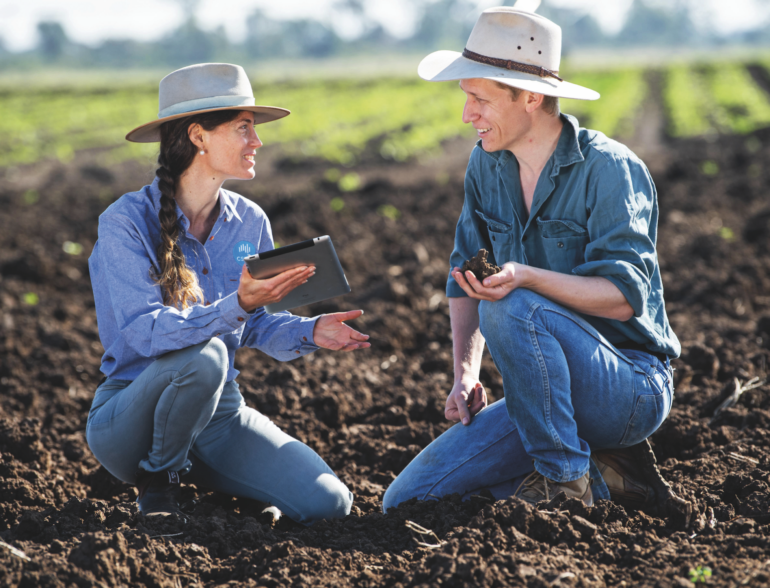 CSIRO launches new soil data tool - Trade Farm Machinery