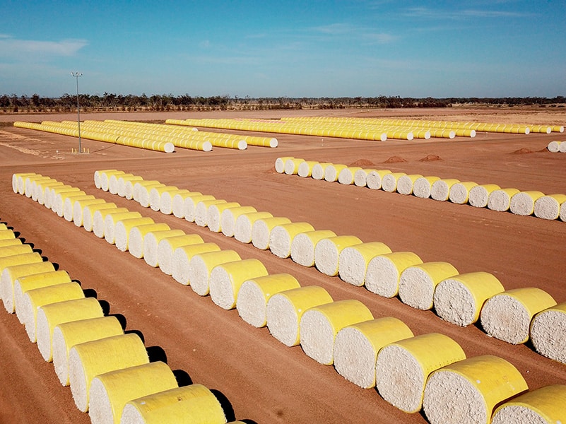 Tama wraps revolutionising cotton harvesting - Trade Farm Machinery