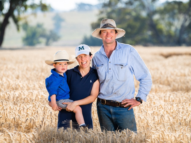 NSW farmer exploring fertilisers made from crop residue - Trade Farm ...