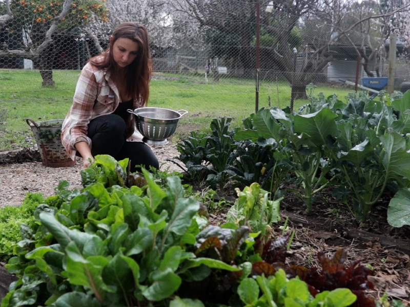 Vic woman encourages farmers to stay on top of health - Trade Farm ...
