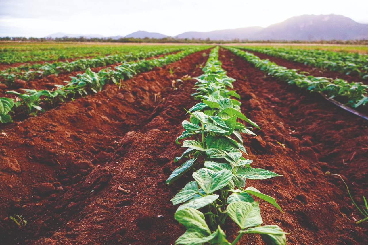 Melita Jurgens promoting diversity at Vee Jay's Kalfresh - Trade Farm ...
