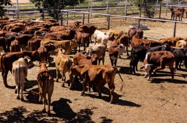 Hydraulics Network powers smarter farming - Trade Farm Machinery
