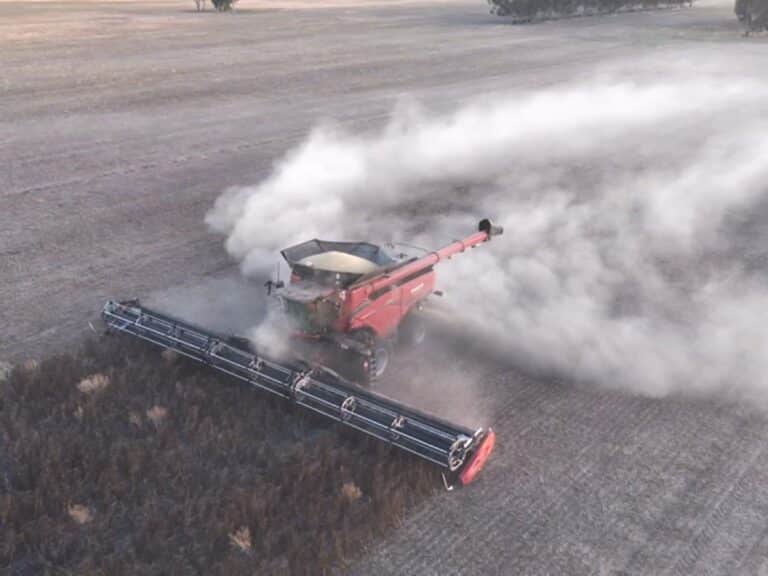 New Case IH combines bolster family's harvest efficiency - Trade Farm ...