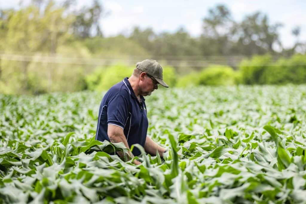 New tool to help growers tackle rising costs - Trade Farm Machinery